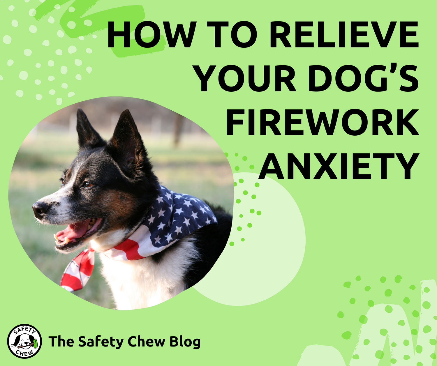 How to Relieve Your Dog's Firework Anxiety – EverChew