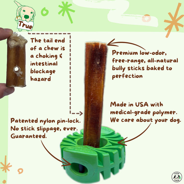 Durable Bully Stick Holder for All Dogs, Safe and Strong – EverChew