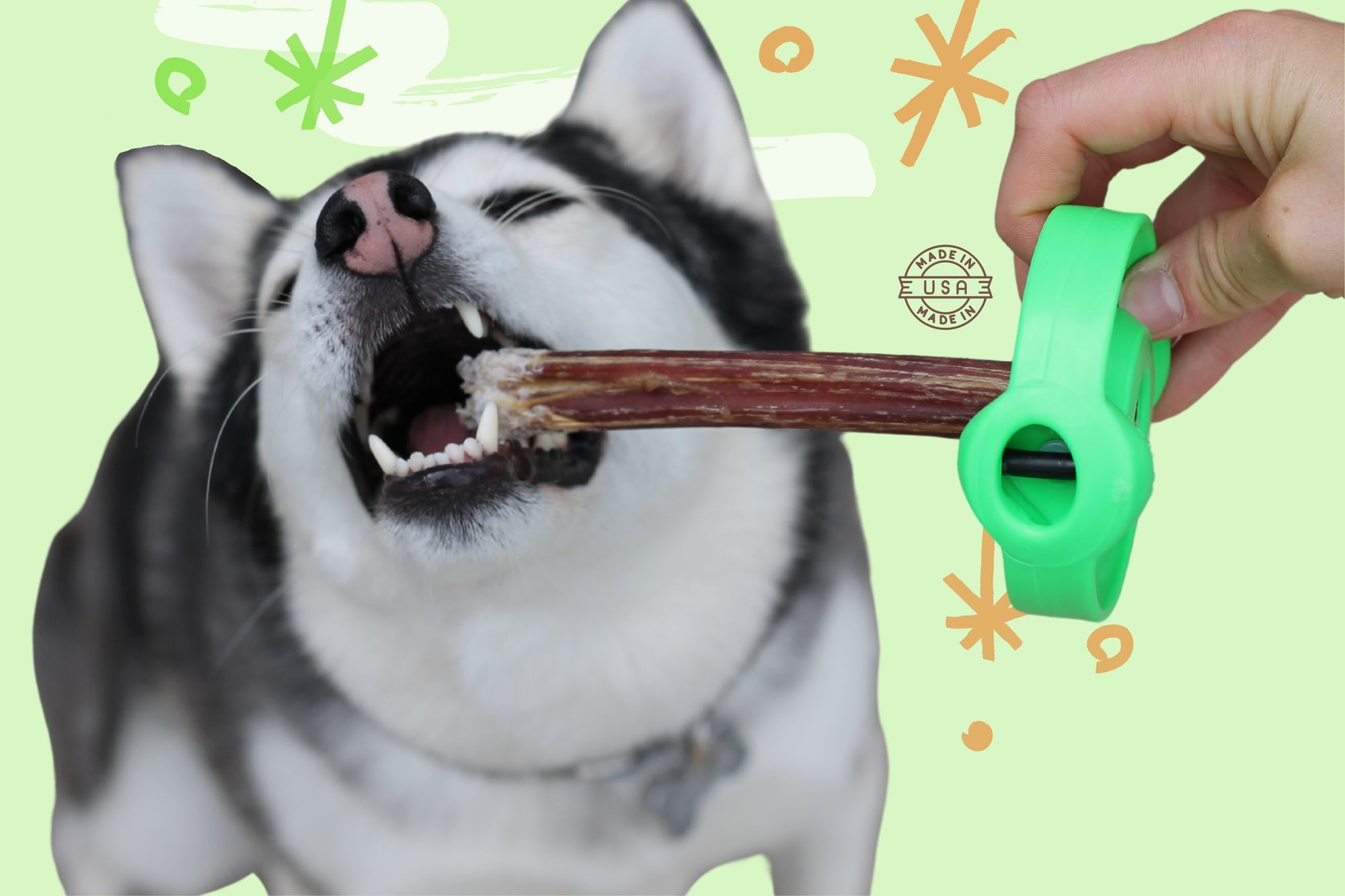 Durable Bully Stick Holder for All Dogs, Safe and Strong – EverChew